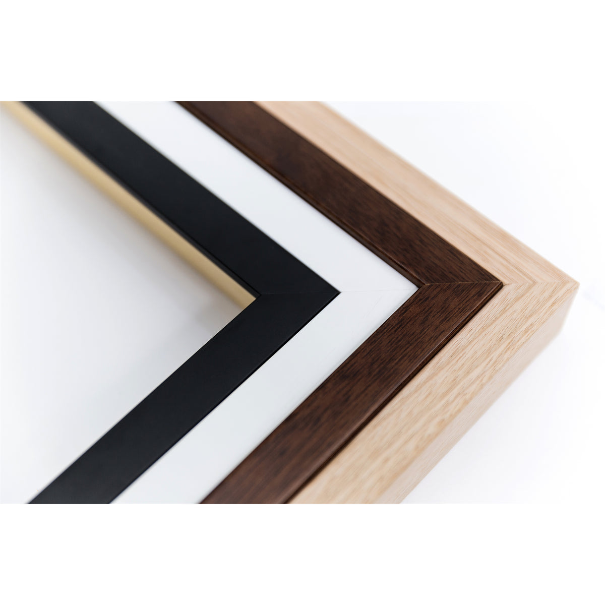 Fine Art Print, Framed Print, NOLA Photography, Cyprus Trees in Swamp ...